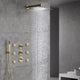 Cascada Camellia 12" Brushed Gold Shower System for Luxury – Cascada ...
